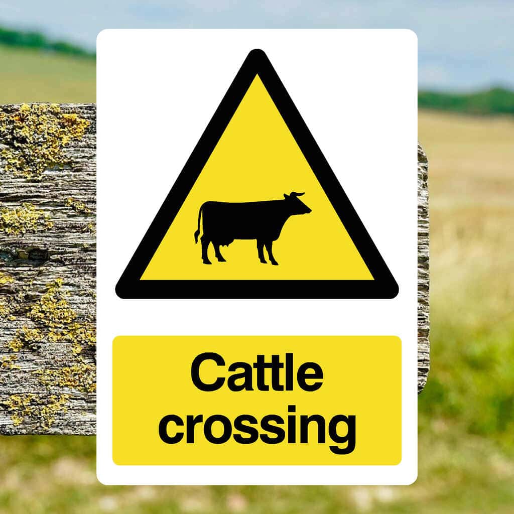 Cattle Crossing Warning Sign – Safe Farm Sign